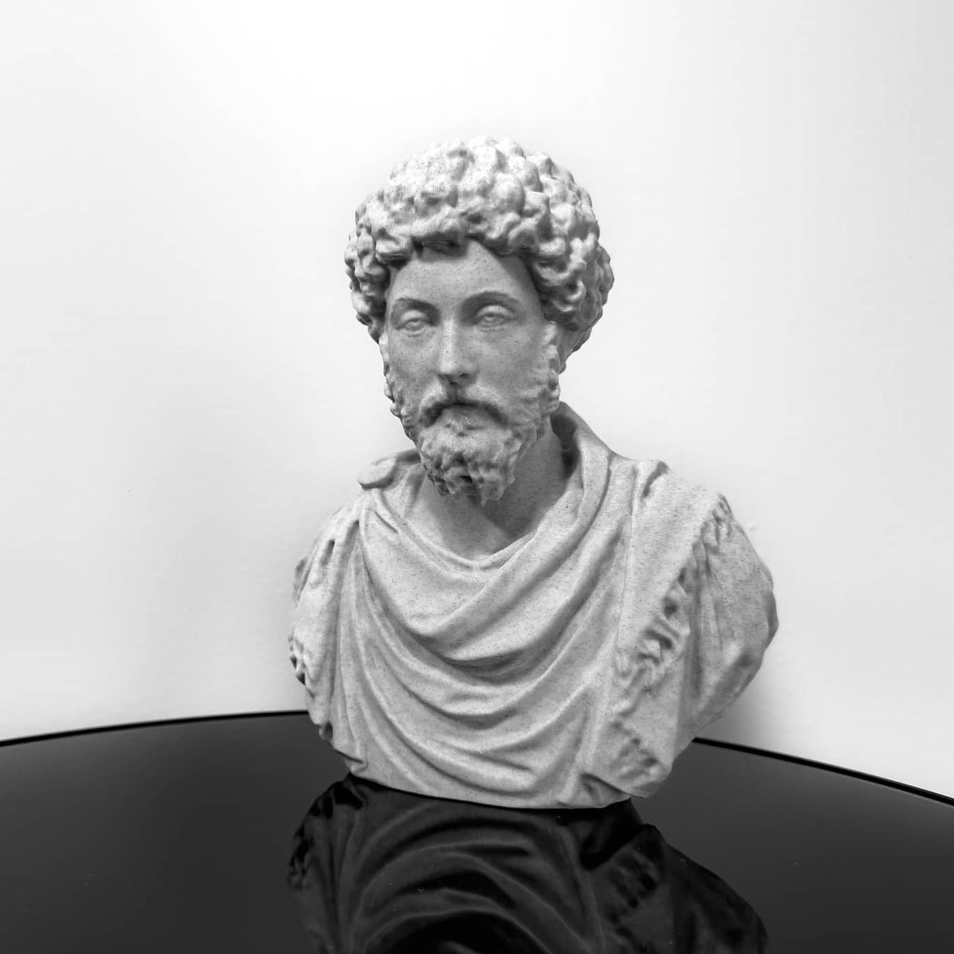 Stoic Reflections - Stoic Philosopher Statues